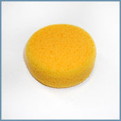 Small Round Sponge – The Potter's Center